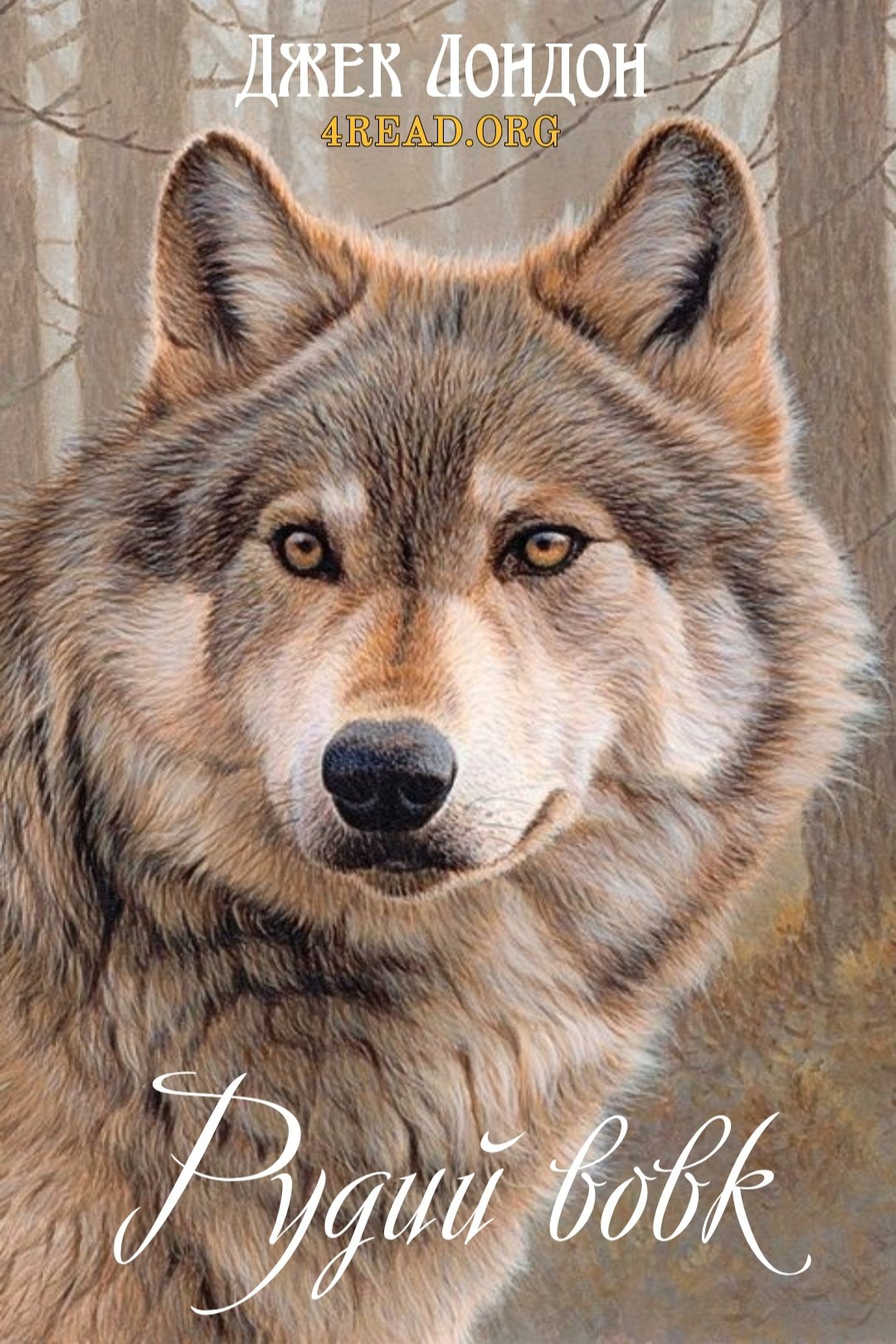 Рудий вовк - АудіоКниги Українською